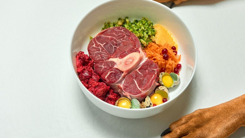 Dieta Barf para perros cachorros. ¿Es recomendable?